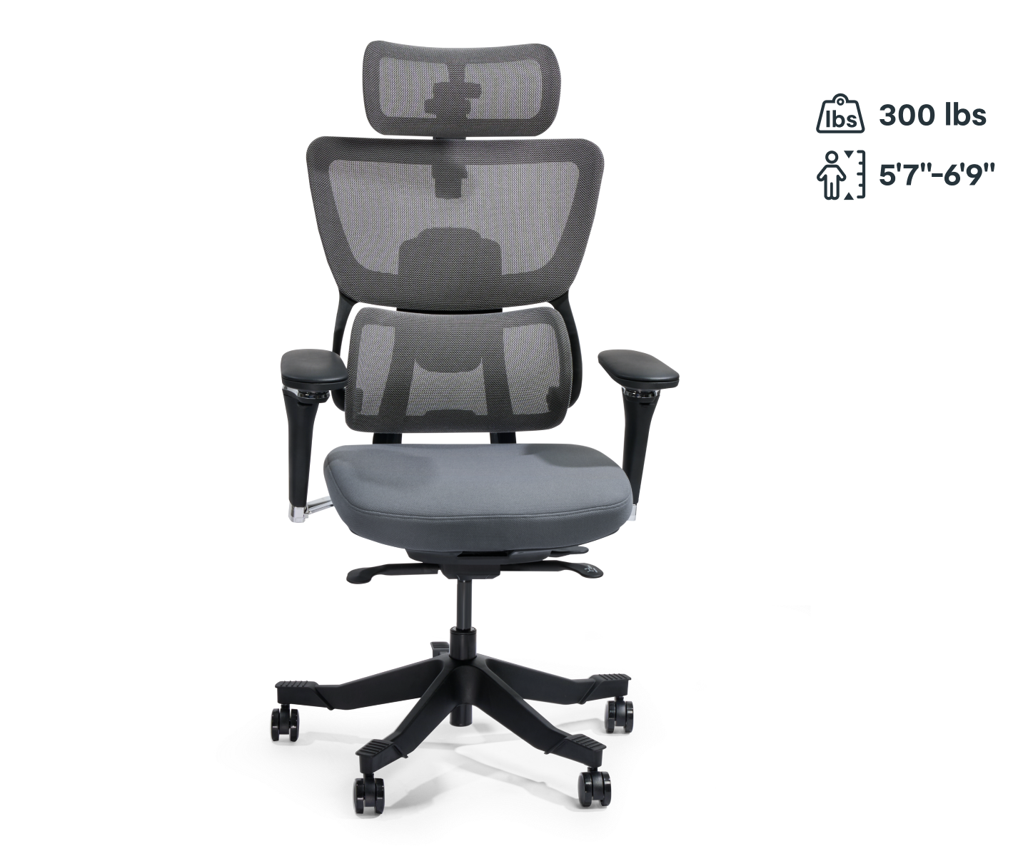 Professional Ergonomic Office Chair | Comfortable Chair C7M | Flexispot
